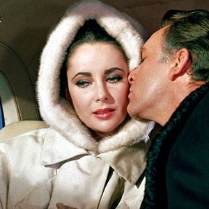 The V.I.P.s - Rotten Tomatoes