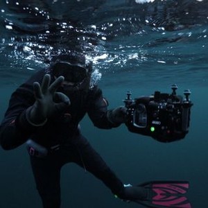 Tales by Light - Rotten Tomatoes