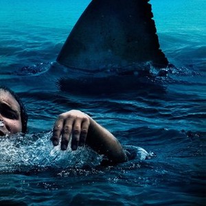 The Reef - Rotten Tomatoes