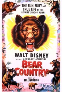 Bear Country | Rotten Tomatoes