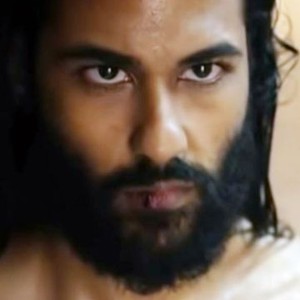 Tiger - Rotten Tomatoes