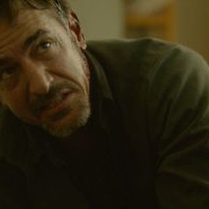 Lavender - Rotten Tomatoes