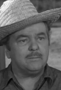 The Real McCoys: Season 2, Episode 13 | Rotten Tomatoes