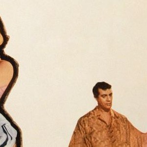 The Candidate - Rotten Tomatoes