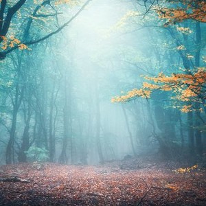 Jodidar - Rotten Tomatoes