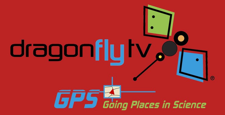 DragonFlyTV - Rotten Tomatoes