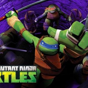 Teenage Mutant Ninja Turtles: Season 5, Episode 1 - Rotten Tomatoes