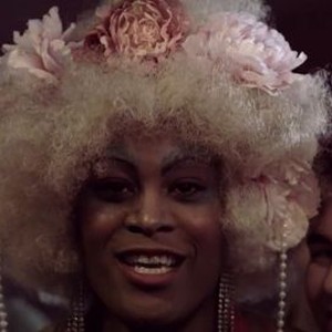 Happy Birthday, Marsha! - Rotten Tomatoes