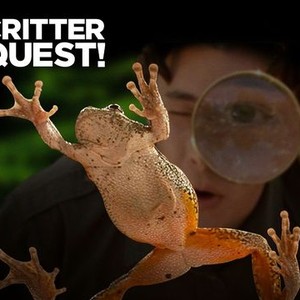 Critter Quest! - Rotten Tomatoes