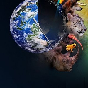 Racing Extinction - Rotten Tomatoes