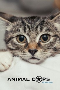 Animal Cops: Houston - Rotten Tomatoes