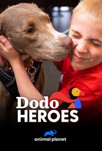 Dodo Heroes | Rotten Tomatoes