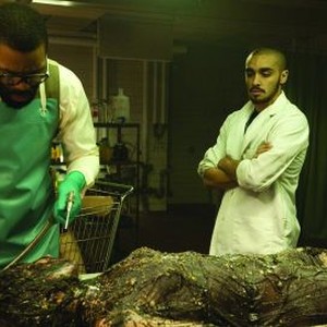 The Mortician - Rotten Tomatoes