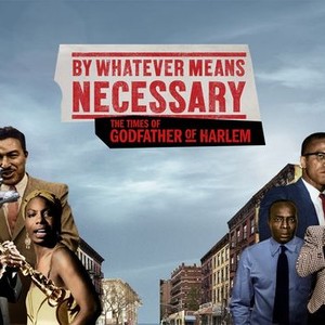 By Whatever Means Necessary: The Times of Godfather of Harlem - Rotten ...