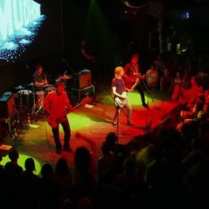 Vinyl Generation - Rotten Tomatoes