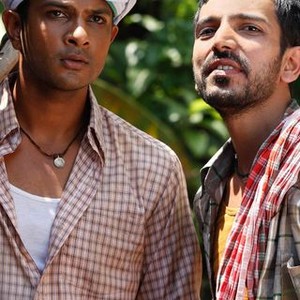 Basmati Blues - Rotten Tomatoes