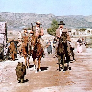 Patrick Wayne - Rotten Tomatoes