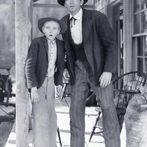 The Yearling - Rotten Tomatoes