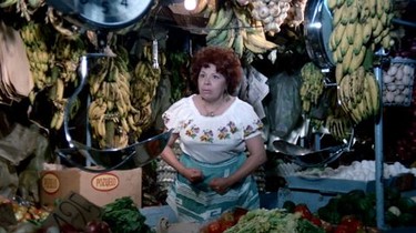 marchanta coloring pages