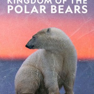 Kingdom of the Polar Bears - Rotten Tomatoes