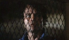 Walking Tall - Rotten Tomatoes