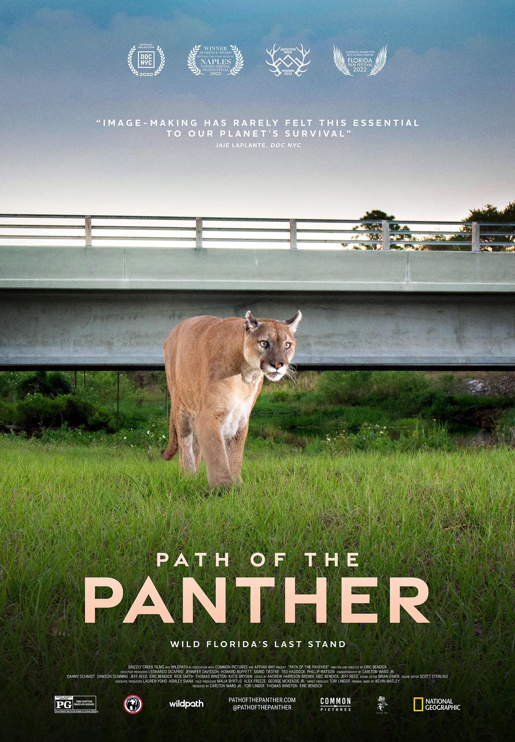 Path of the Panther Pictures | Rotten Tomatoes