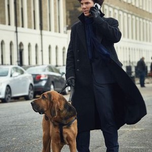 Sherlock: Season 4 - Rotten Tomatoes