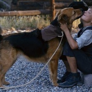 Miracle Maker - Rotten Tomatoes