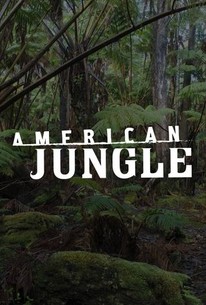 American Jungle | Rotten Tomatoes