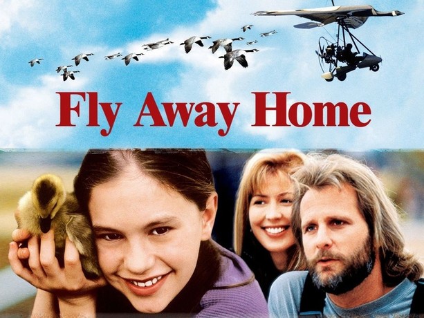Fly Away Home Movie Cast