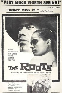 The Roots | Rotten Tomatoes