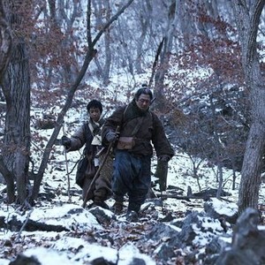 The Tiger - Rotten Tomatoes