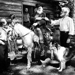 Bruce Cowling - Rotten Tomatoes