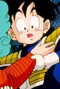Dragon Ball Z: Season 4, Episode 119 | Rotten Tomatoes