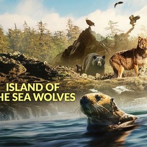 Island of the Sea Wolves: Season 1, Episode 2 - Rotten Tomatoes