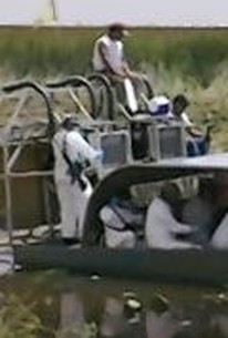 Cops: Season 9, Episode 13 | Rotten Tomatoes