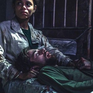 Wildcat - Rotten Tomatoes