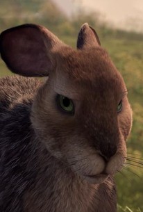 Watership Down: Miniseries, Episode 1 | Rotten Tomatoes