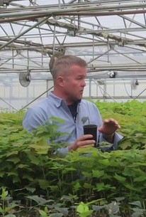 Garden Smart: Season 21, Episode 30 - Rotten Tomatoes