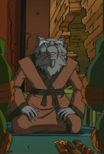 Teenage Mutant Ninja Turtles: Ninja Tribunal, Episode 10 | Rotten Tomatoes