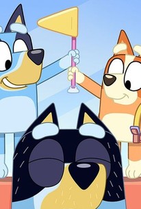 Bluey: Season 1, Episode 44 | Rotten Tomatoes