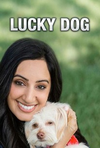 Lucky Dog: Season 1 | Rotten Tomatoes