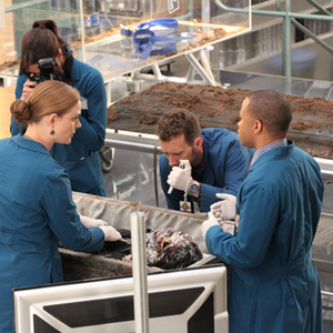 Bones - Rotten Tomatoes