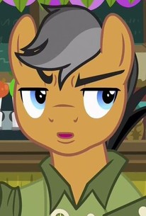 My Little Pony: Friendship Is Magic: Season 6, Episode 13 - Rotten Tomatoes