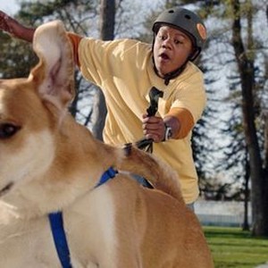 Life Is Ruff (2005) - Rotten Tomatoes