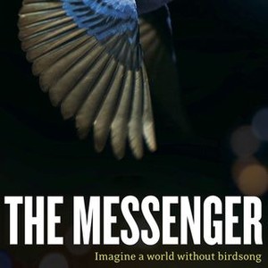 The Messenger - Rotten Tomatoes
