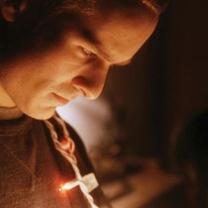 Ryan Steele Rotten Tomatoes