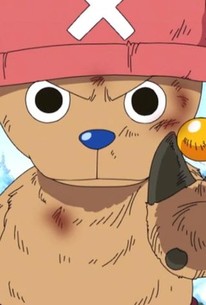 One Piece: Season 3, Episode 11 | Rotten Tomatoes