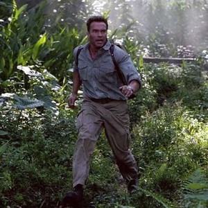 Collateral Damage - Rotten Tomatoes