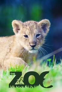 The Zoo: Season 6 | Rotten Tomatoes